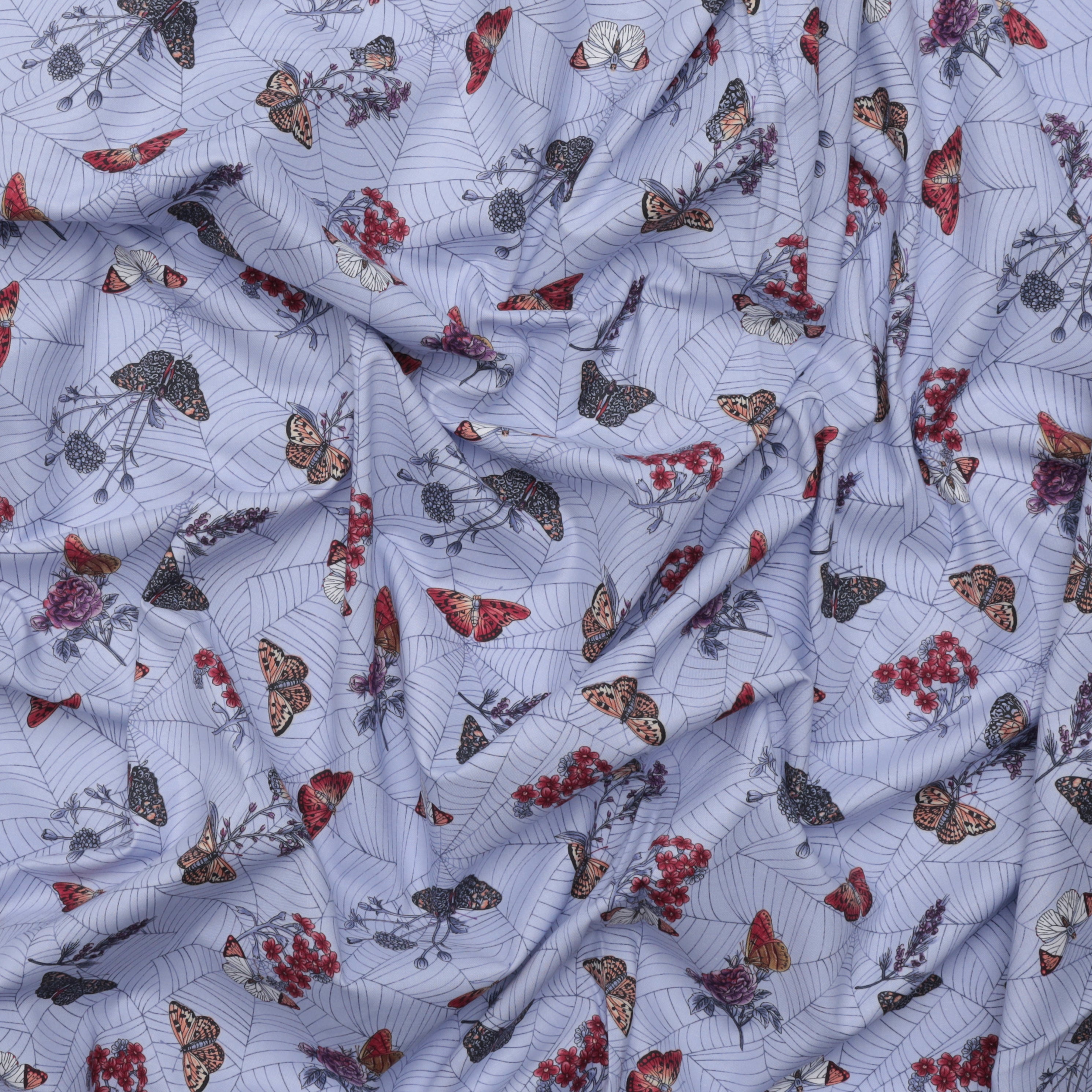 Studio E - Cotton - Bonescolle - Cobwebs & Moths - Dusty Blue – RICK RACK Textiles