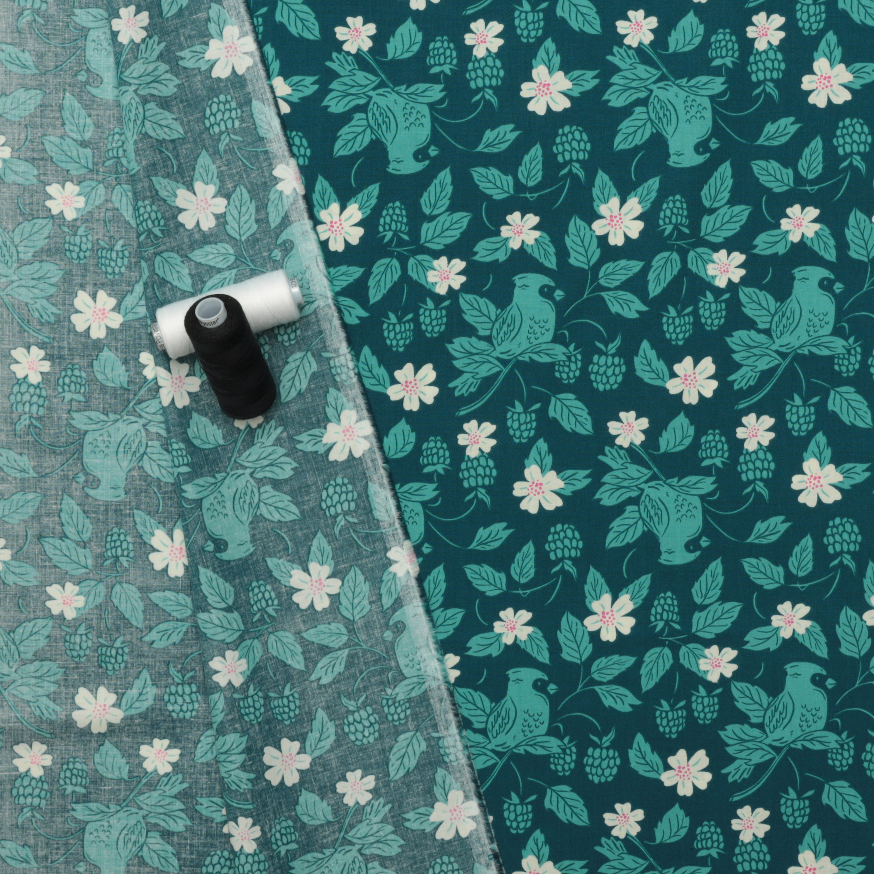 Ruby Star - Cotton - Backyard - Birds - Galaxy – RICK RACK Textiles