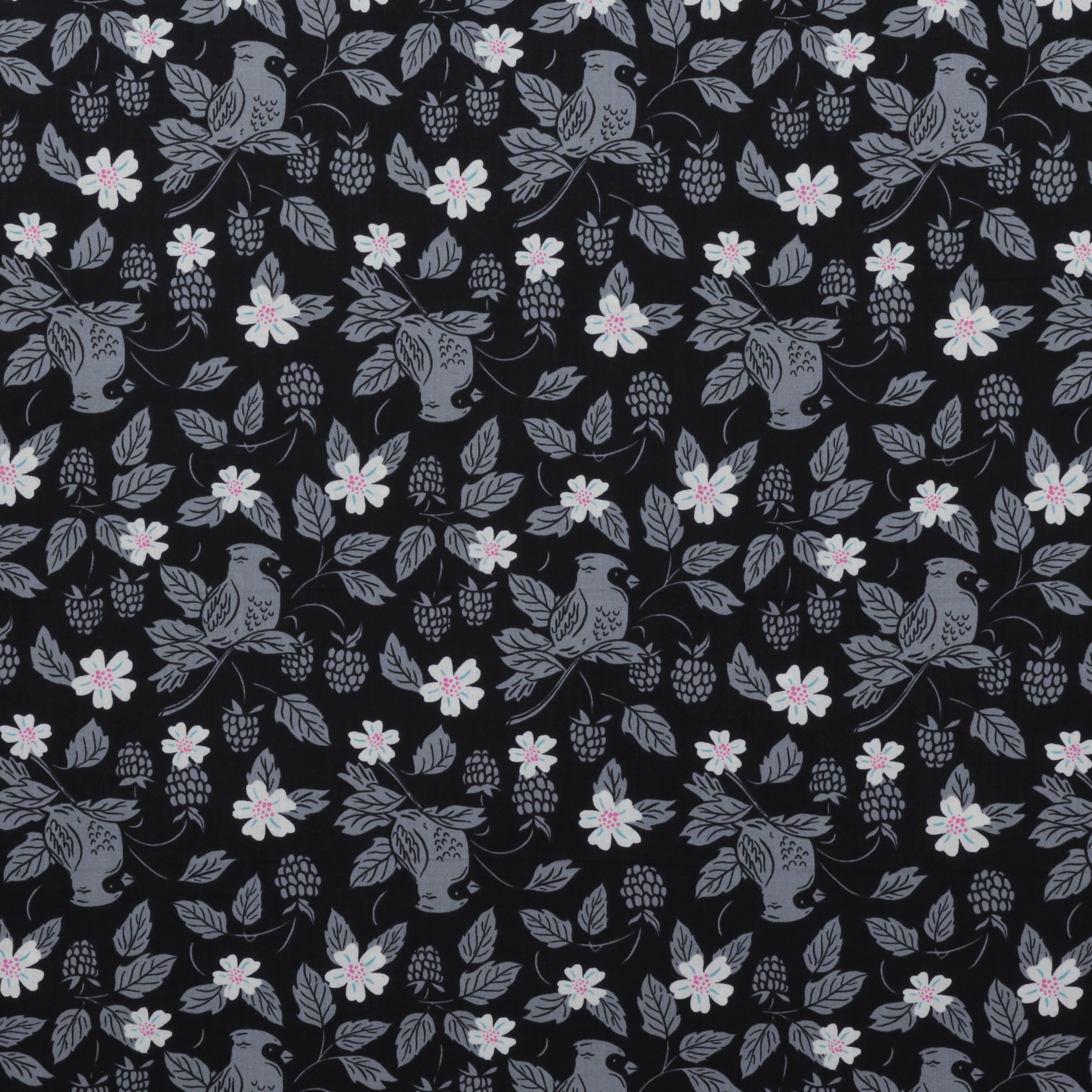 Ruby Star - Cotton - Backyard - Birds - Black Suede – RICK RACK Textiles