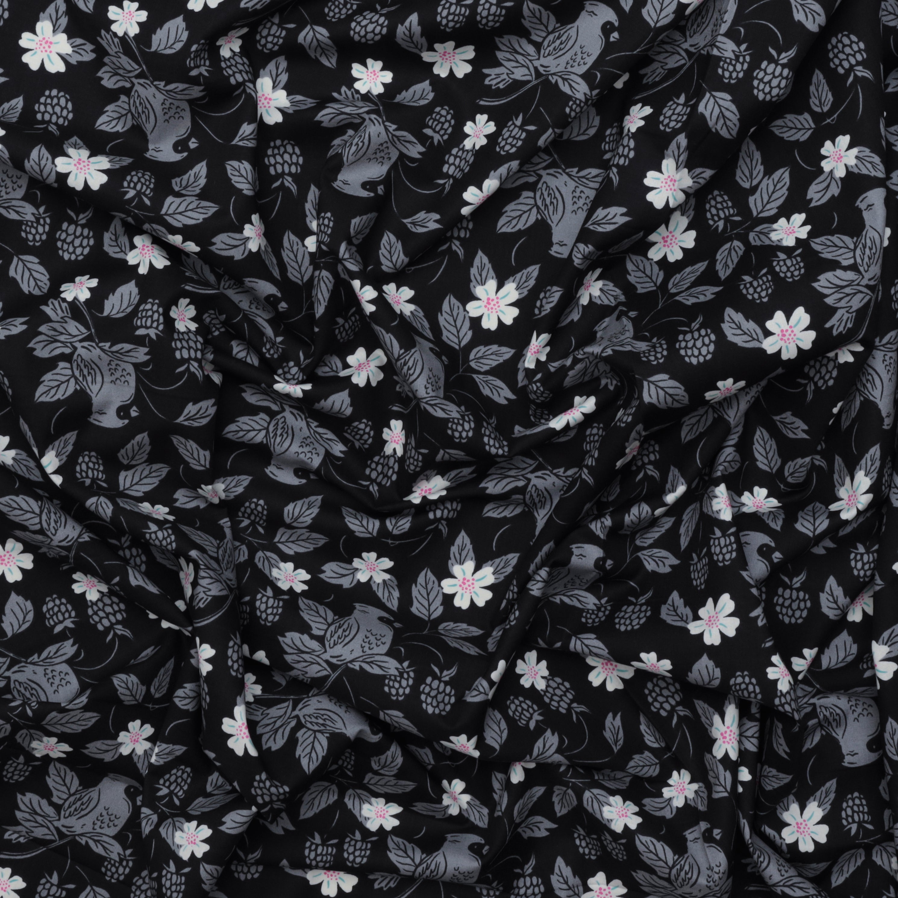 Ruby Star - Cotton - Backyard - Birds - Black Suede – RICK RACK Textiles